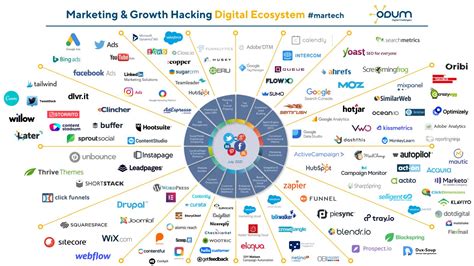 Ecommerce Digital Ecosystem Focussed On Benelux