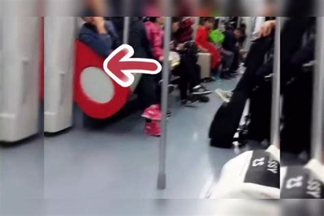 地铁内实拍一幕仓鼠正趴在乘客鞋子上网友：旁边的哥们也看呆了