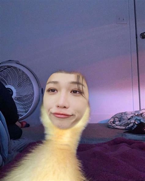 Just Felix The Duck Смешные мемы Веселые мемы Мемы лица