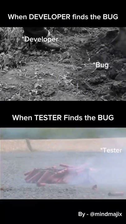 😂 When Developer And Tester Find The Bug Developermemes Codingmemes Funny Tester Comedy