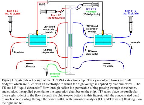 Figure 1 From Rapid Automated Sample Preparation For Biological Assays Semantic Scholar