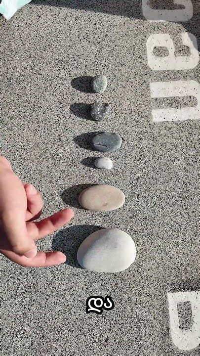 აბა გამოიცანი ალგორითმი ⚙ Shorts Programming Sortingalgorithms Coding Education Youtube