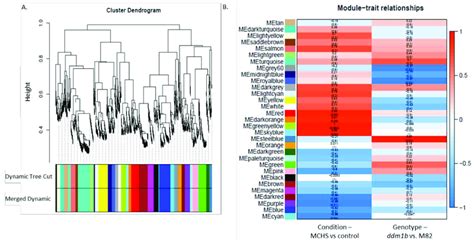 Expression Profile Based Hierarchical Clustering Using The Wgcna Tool