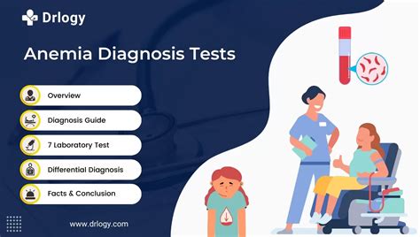 7 Accurate Tests For Anemia Diagnosis Drlogy