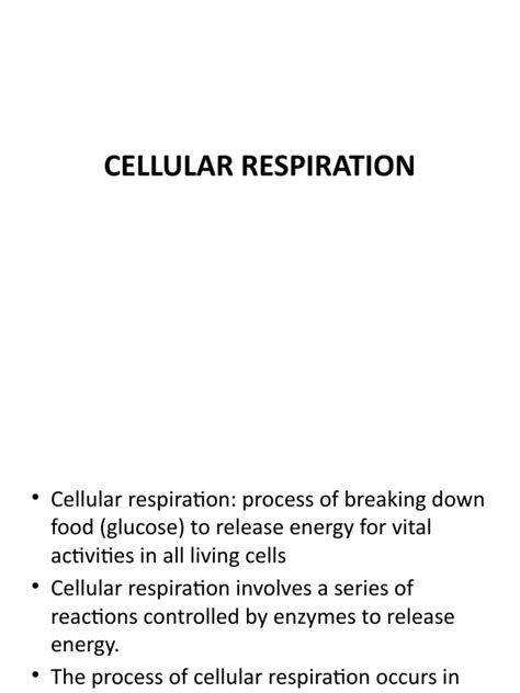 Chap7f4 Cellular Respiration Pdf Cellular Respiration Adenosine Triphosphate