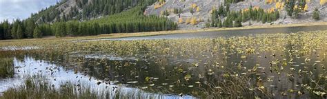 Harlequin Lake Trail Montana 190 Reviews Map Alltrails