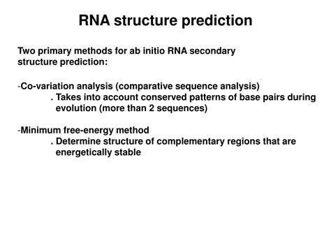 Ppt Rna Functions Structure And Phylogenetics Powerpoint Presentation Id1074367
