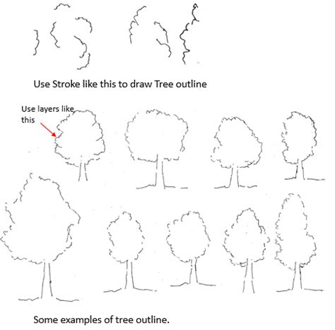 Tree Drawing Outline