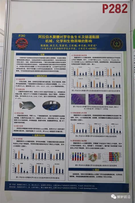 科研成果展示海报模板 成果展示海报模板 大山谷图库