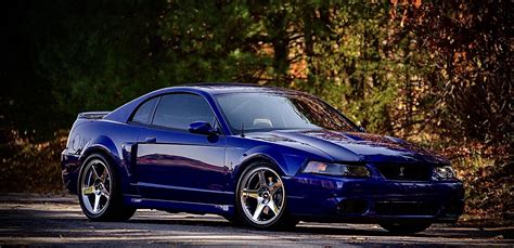 Mustang Cobra Terminator Wallpaper