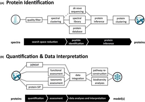From Data To Understanding Schematic Representation Of Workflows