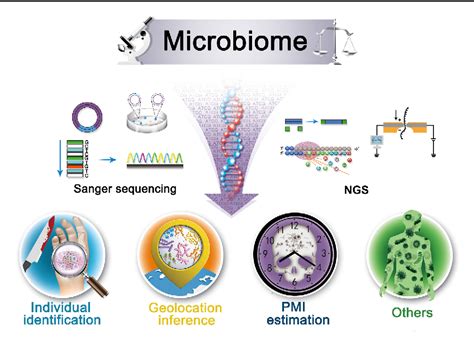 Figure 2 From Application Of Microbiome In Forensics Semantic Scholar
