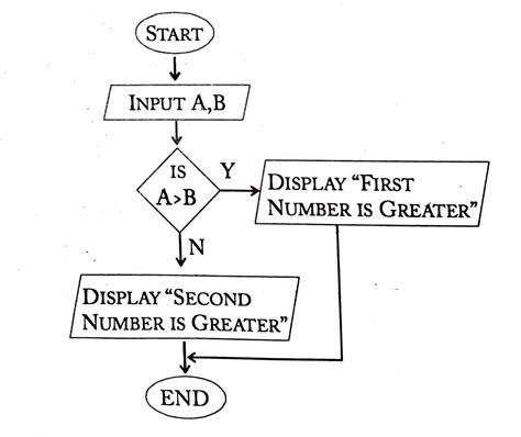 Class 9 Computer Science Chapter 7 Coding And Its Importance Dev Library