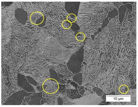 Fluxtrol Influence Of Vanadium Microalloying On The Microstructure Of Induction Hardened 1045