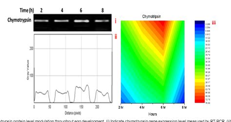 Figure 2 From Age Dependent Gene Expression Of Blow Fly Lucilia Cuprina Diptera Calliphoridae