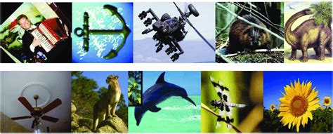 Examples From The Caltech 101 Object Dataset Download Scientific Diagram