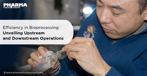 Efficiency In Bioprocessing Unveiling Upstream And Downstream Operations