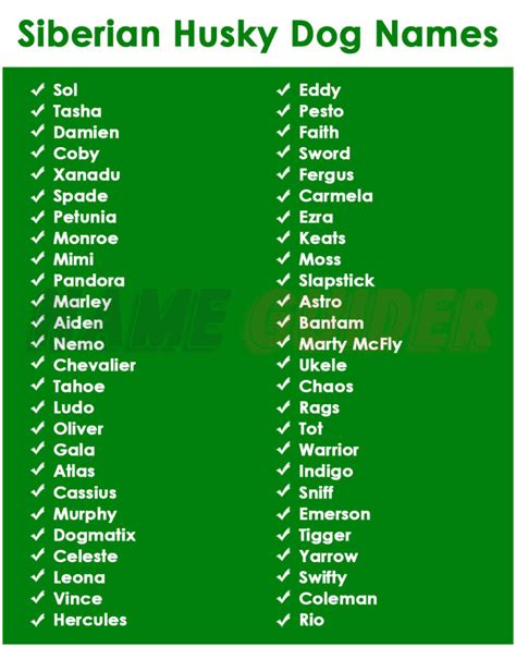415 Siberian Husky Dog Names Ideas And Suggestions Name Guider