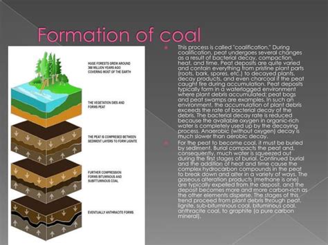 Organic Rocks And Fossil Fuels Ppt