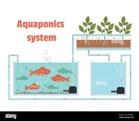 How The Aquaponics System Work Aquaponics System In Smart Farming Method Flow Of Water And