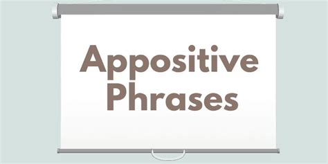 Appositive Phrases And How To Use Them In A Sentence Nouns And Pronouns Root Words