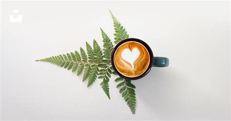 갈색 액체가 있는 갈색 세라믹 머그잔 옆에 녹색 잎 사진 Unsplash의 무료 커피 이미지