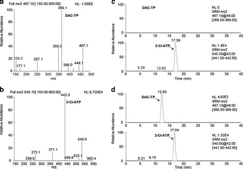 lc ms ms assay development and validation for dac tp quantification