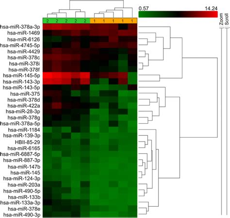 hierarchical clustering based on 32 mirnas that were differentially