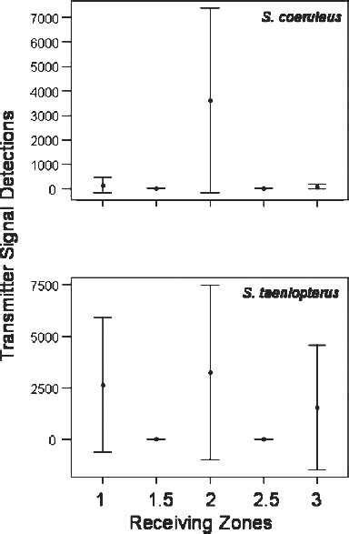 Number Of Signal Detections For S Coeruleus And S Taeniopterus In