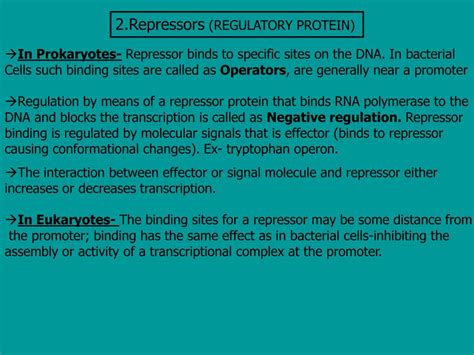 Ppt Transcriptional Regulatory Protiens Powerpoint Presentation Free