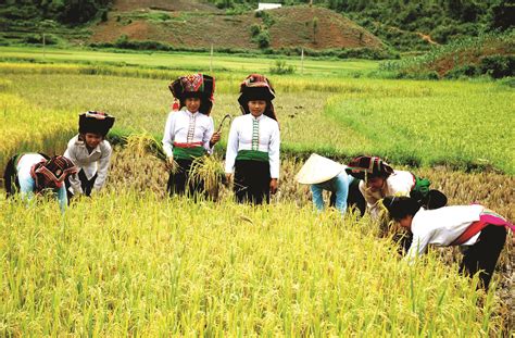 Nông nghiệp Việt Nam biến nguy thành cơ Kiến Thức Cho Người lao Động Việt Nam