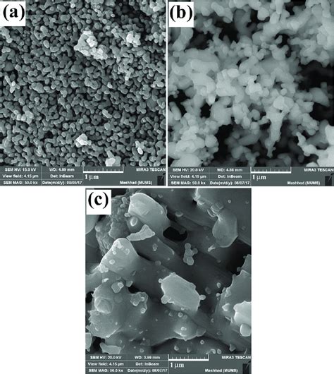 SEM Images Of Samples A 1 B 2 And C 3 Download Scientific Diagram