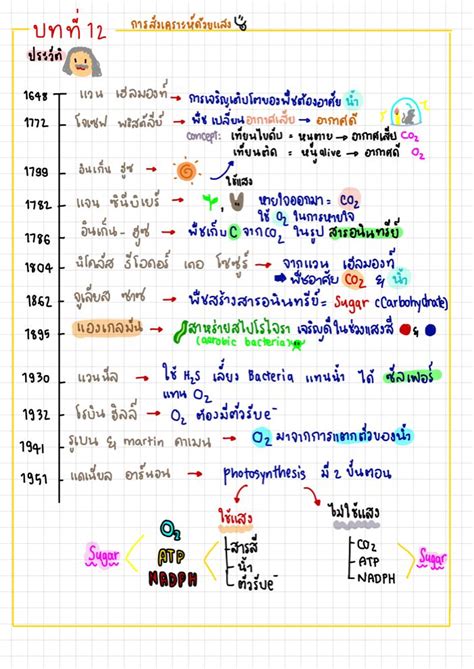 โน้ตของ การสังเคราะห์แสง ม5 ชั้น Clear การสังเคราะห์แสง เคล็ดลับการเรียน ชั้น