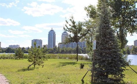 На Оболонському острові відбудеться цікава подія кого запрошують Вечірній Київ