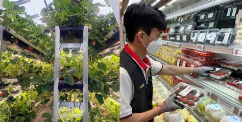 유통 비즈니스 스마트팜 기술로 대형마트의 경쟁력 확보 Trendm 아이디어 비즈니스