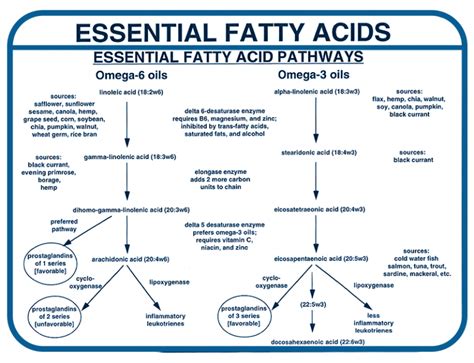 Essential Fatty Acid Deficiency Labs At Marilyn Roberson Blog
