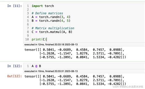 Pytorch 操作符 Csdn博客