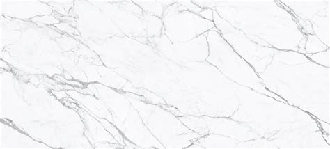 Zoey Bold Surfaces