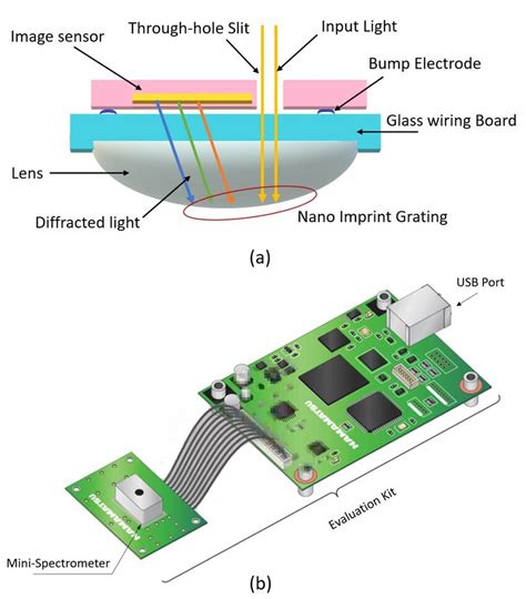 Schematic Of A Working Principle And Structure Of The Sensor B