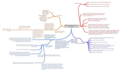Clostriduim Tetani Infection Tetanus Pathophysiology Toxin Block…