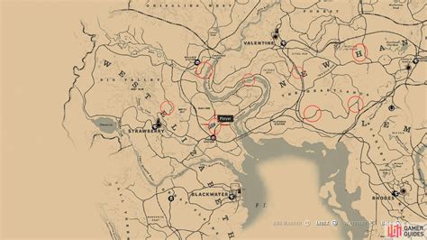 Red Dead Redemption 2 Map