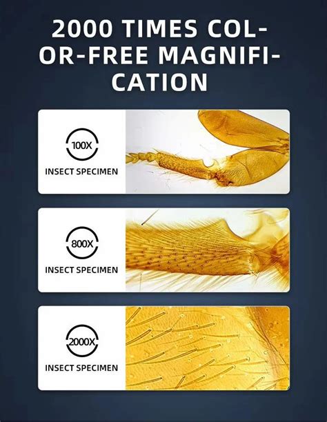 Digital Lcd Biological Microscope At ₹ 36500 Biology Microscope In