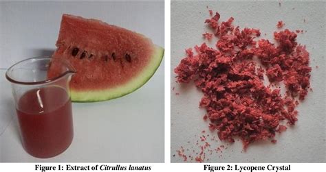 Figure 1 From Biochemical Characterization Of Lycopene Extracted From