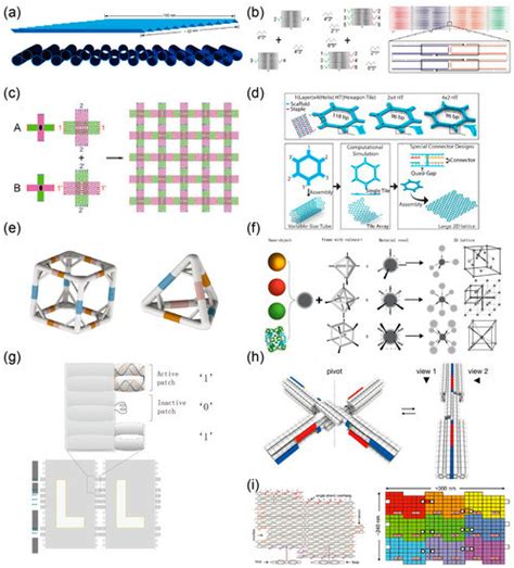 Bottom Up Self Assembly Based On Dna Nanotechnology