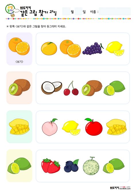 관찰놀이 활동지 3장 과일1 같은 그림 찾기