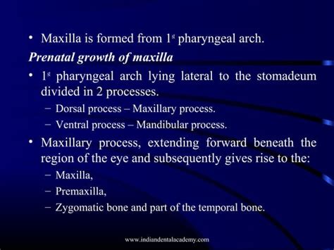 Growth And Development Of Maxilla And Maxillary Endodontic Courses Ppt