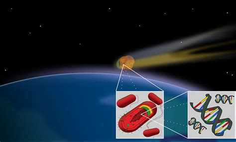 Cometary Panspermia A Radical Theory Of Lifes Cosmic Origin And Evolution