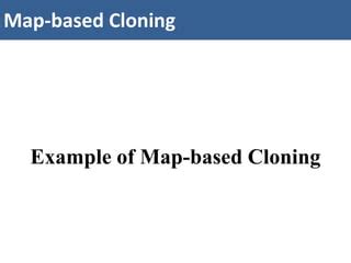 Map Based Cloning Pptx Genetics Science