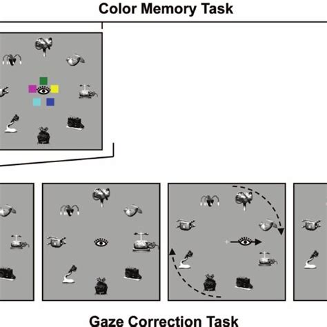 pdf understanding the function of visual short term memory