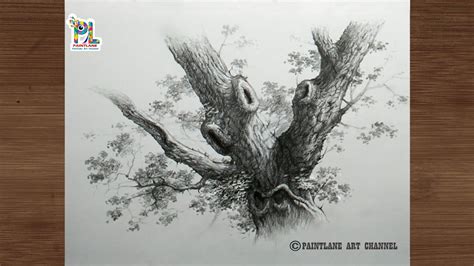 How To Draw And Pencil Shading With Detailed Tree Branches Step By Step Pencil Art Tree